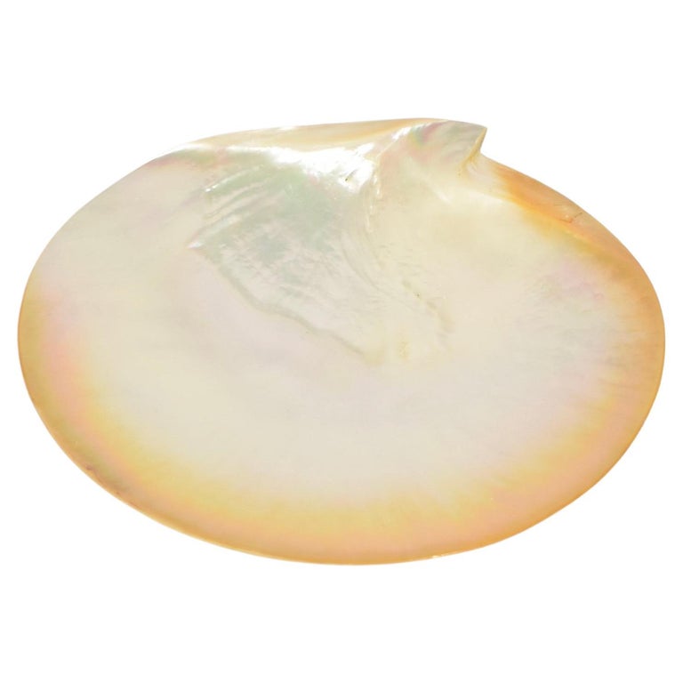 Mother of Pearl Shell Plate For Sale at 1stDibs