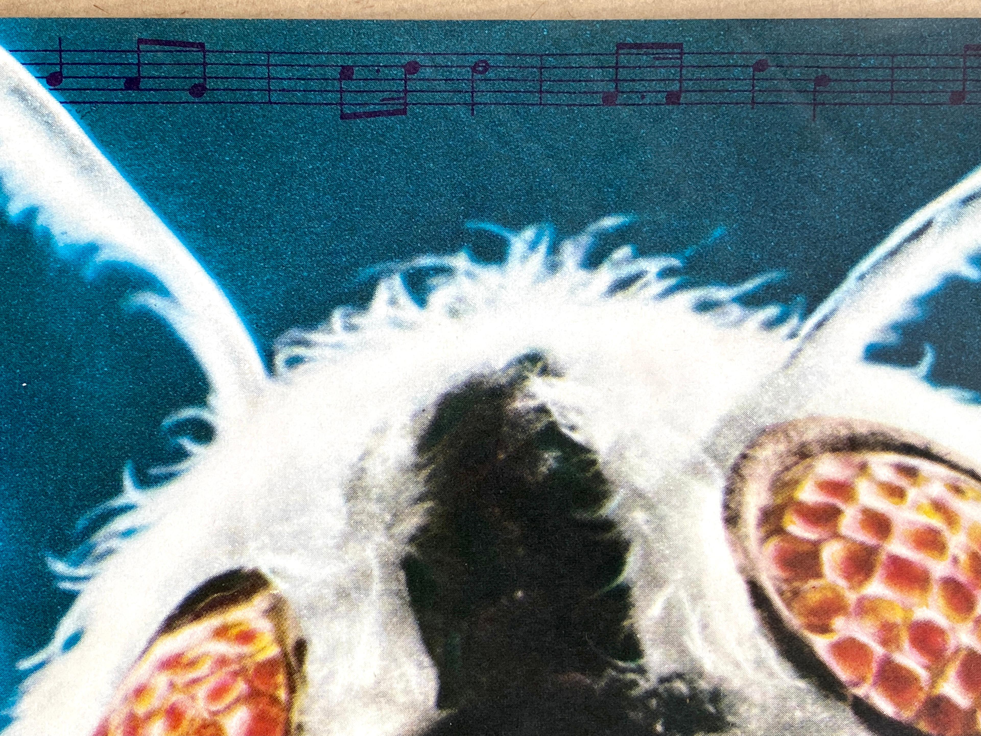 'Mothra vs. Godzilla' Original Vintage Movie Poster, Japanese, 1970 at ...