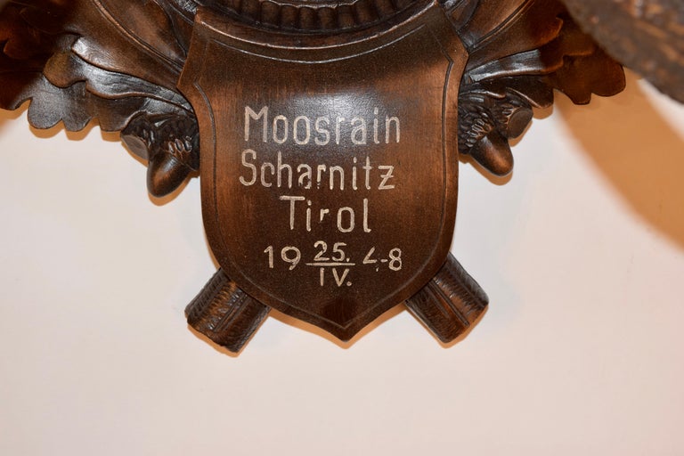 Mounted 11 Point Red Stag Trophy at 1stDibs