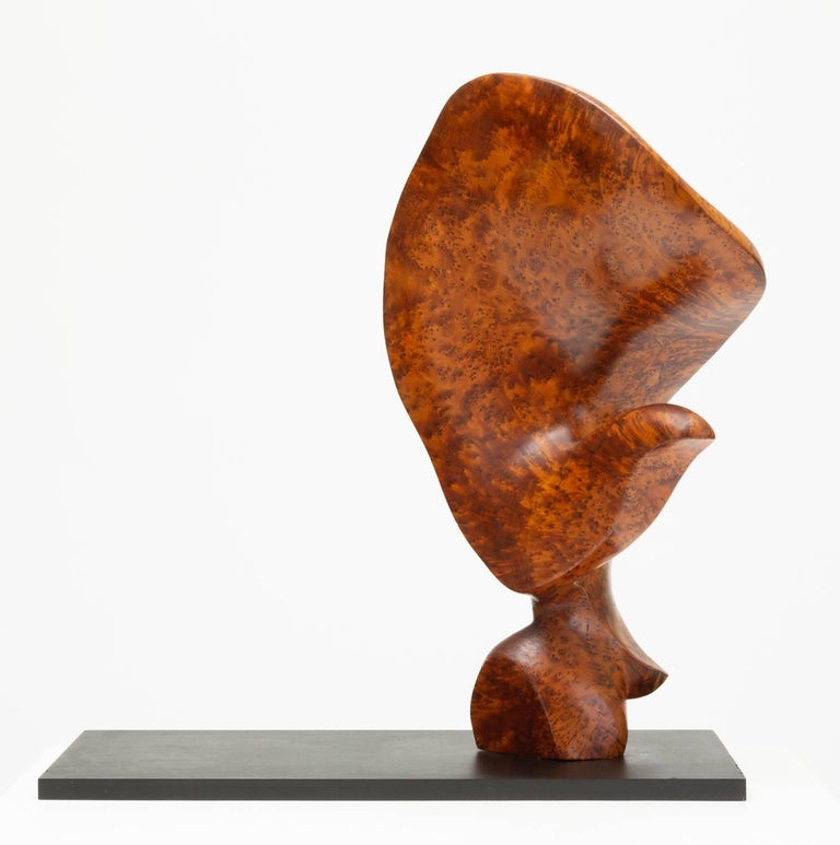Mounted Abstract Sculpture in Bird's-Eye Mahogany at 1stDibs