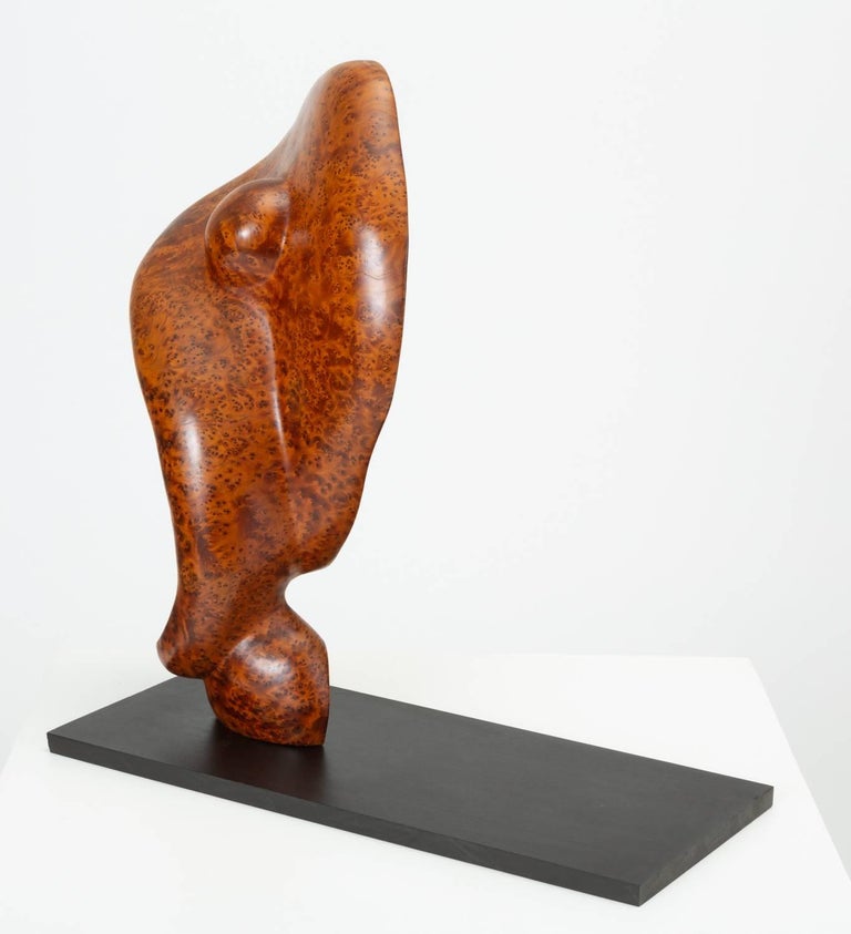 Mounted Abstract Sculpture in Bird's-Eye Mahogany at 1stDibs