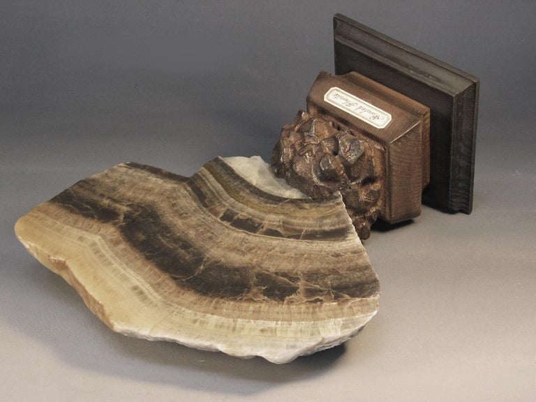 Mounted Banded Fluorite Slab Specimen For Sale at 1stDibs