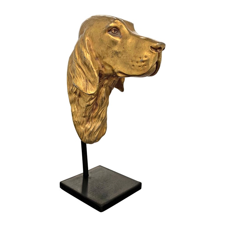Mounted Brass English Setter Portrait Bust at 1stDibs