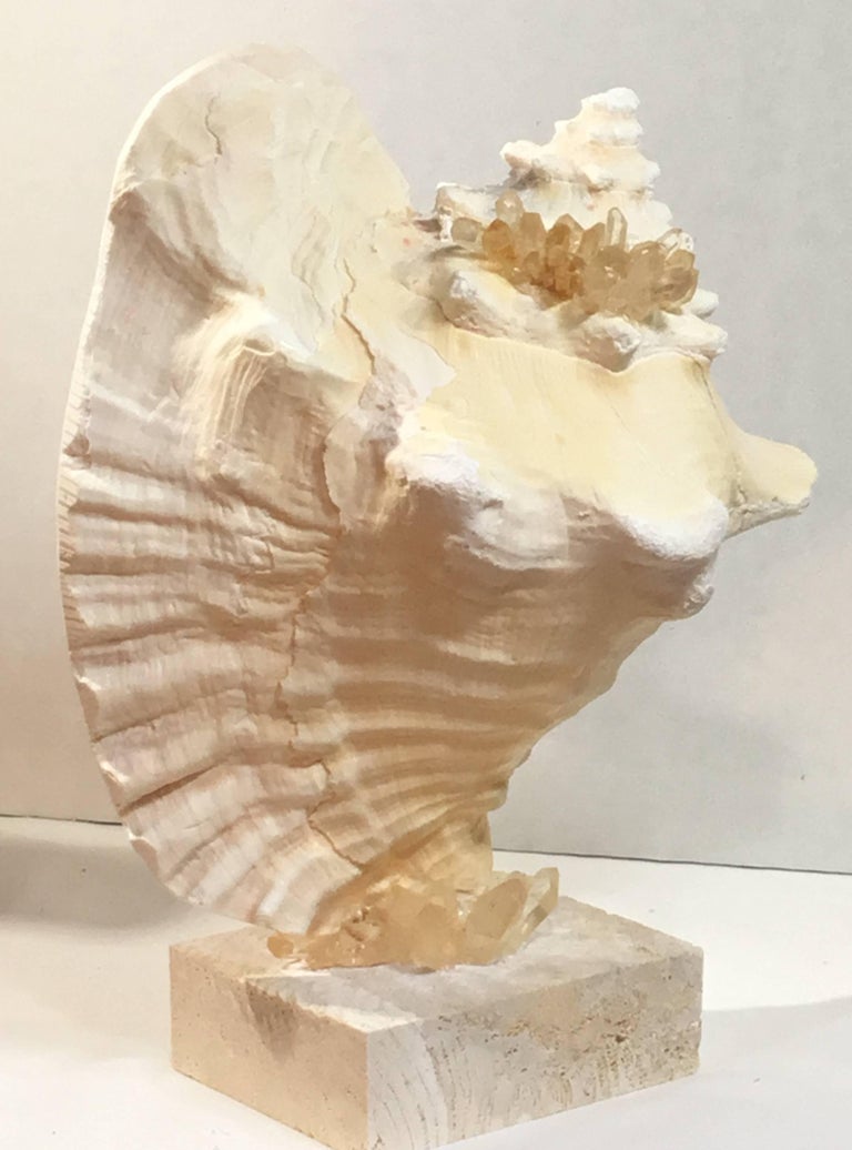 Mounted Conch Shell with Crystal at 1stDibs