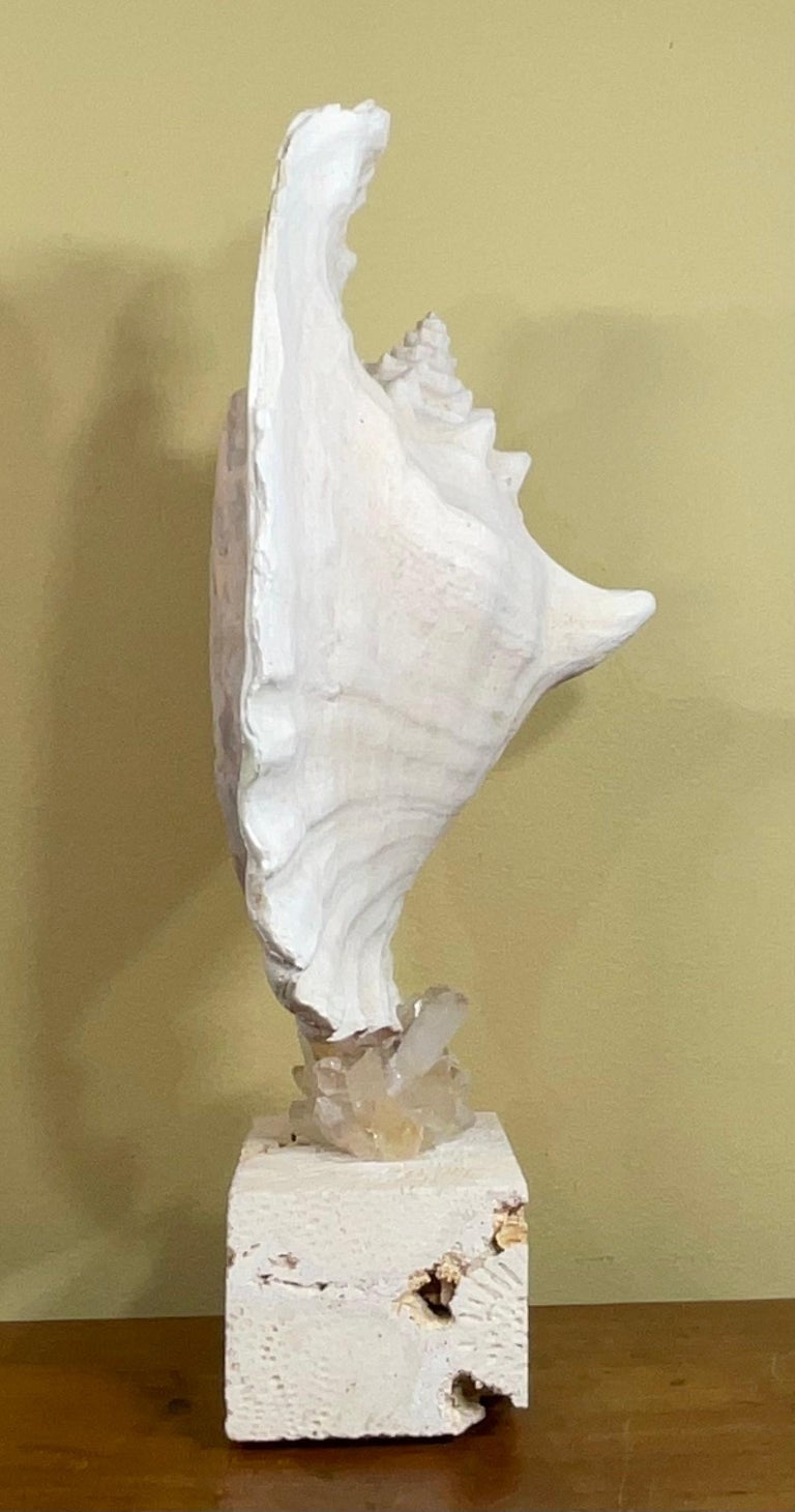 Mounted Conch Shell with Crystal For Sale at 1stDibs