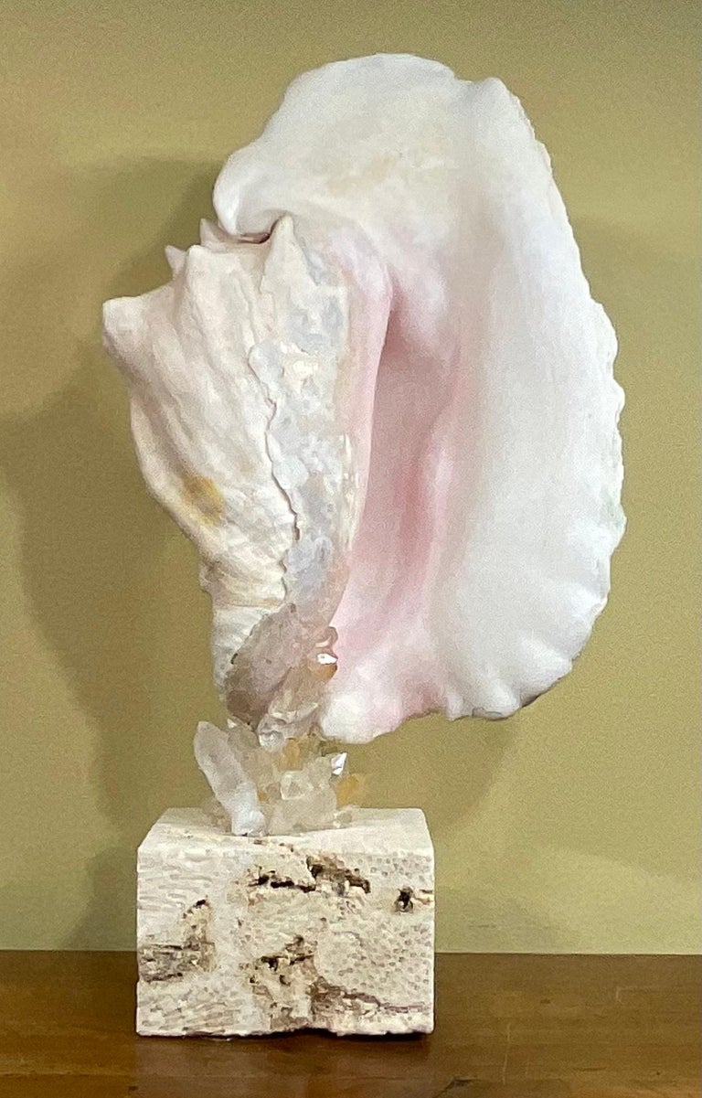 Mounted Conch Shell with Crystal For Sale at 1stDibs