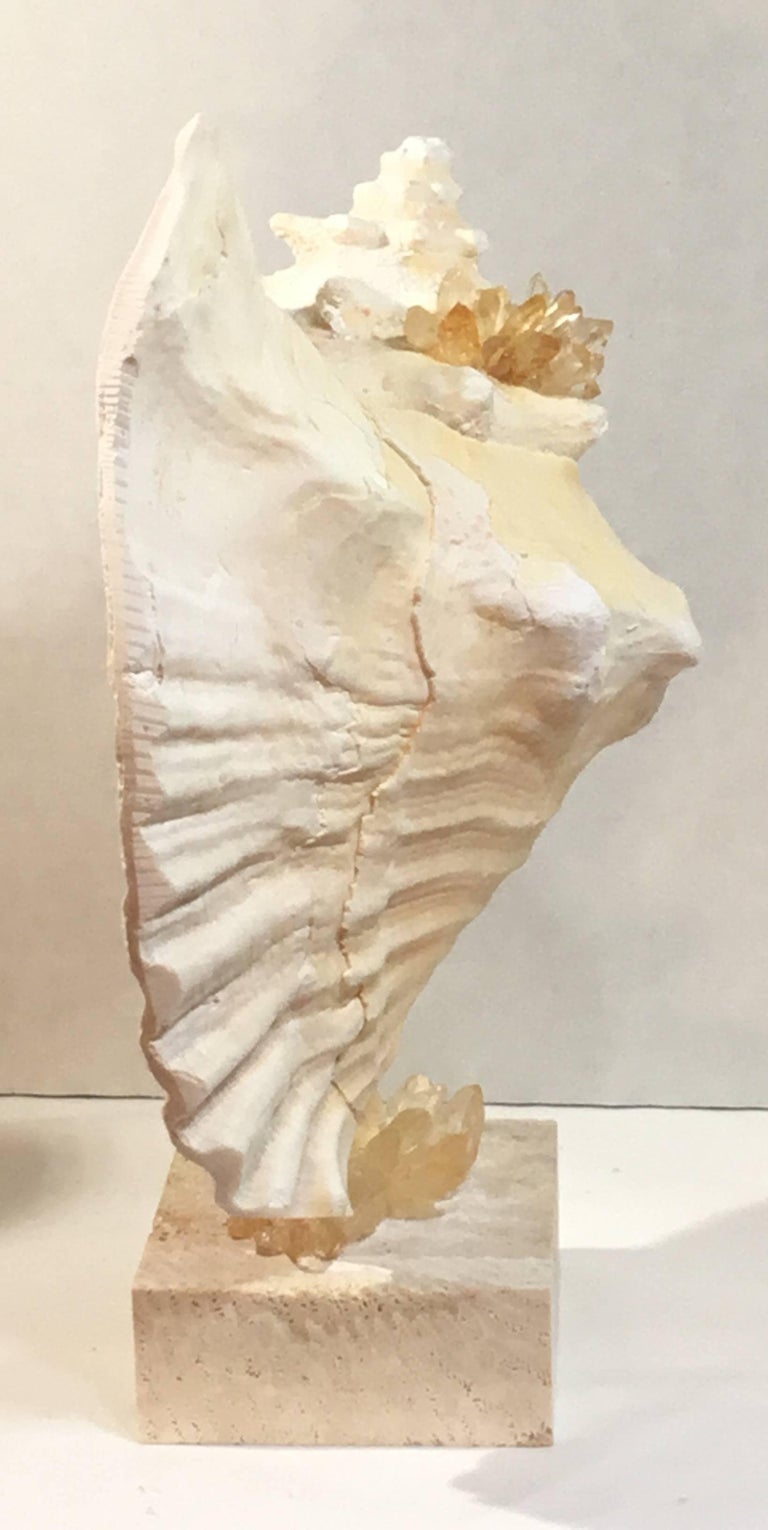 Mounted Conch Shell with Crystal at 1stDibs