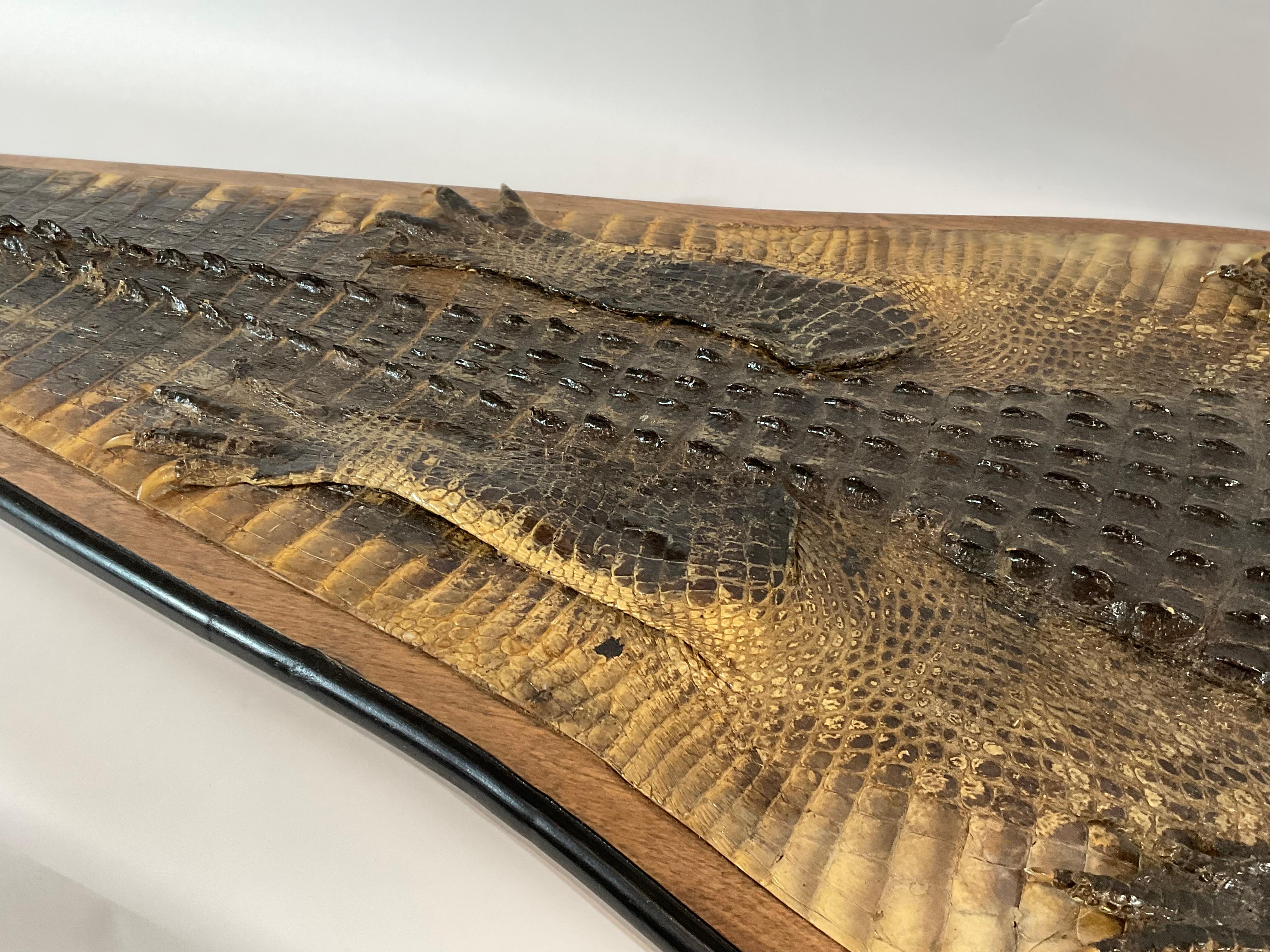 Mounted Crocodile on Board For Sale at 1stDibs