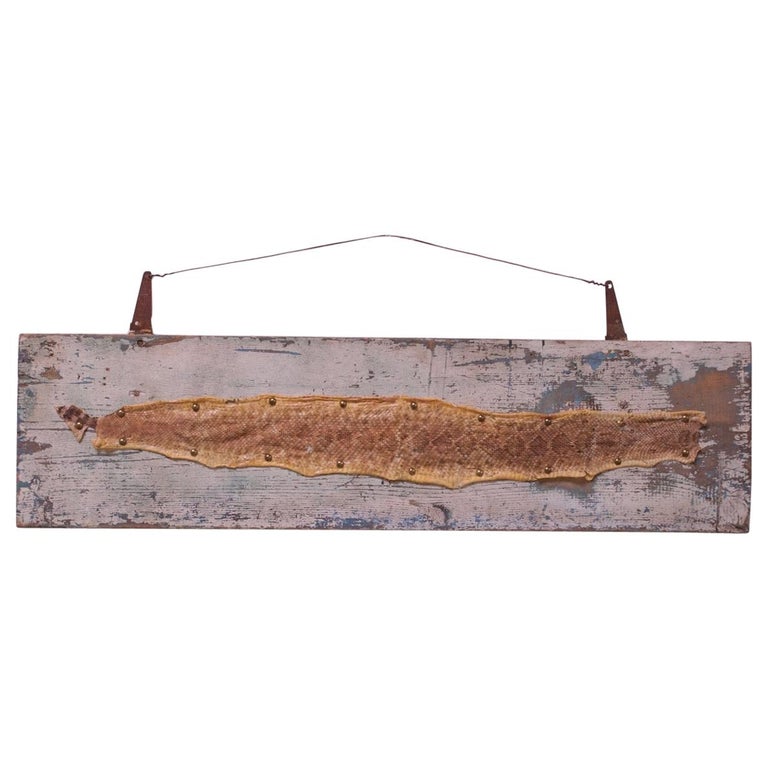 Mounted Diamond Back Rattlesnake Skin For Sale at 1stDibs | rattlesnake ...