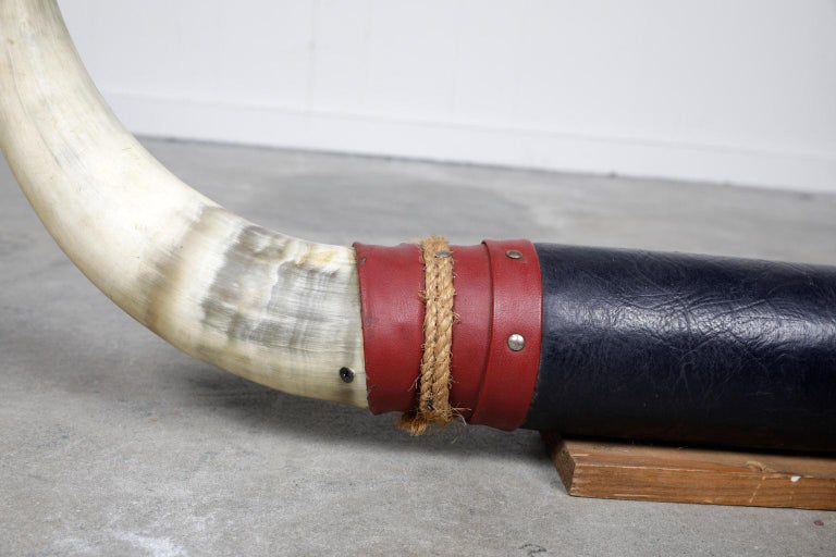 Mounted Pair of Taxidermy Steer Horns at 1stDibs