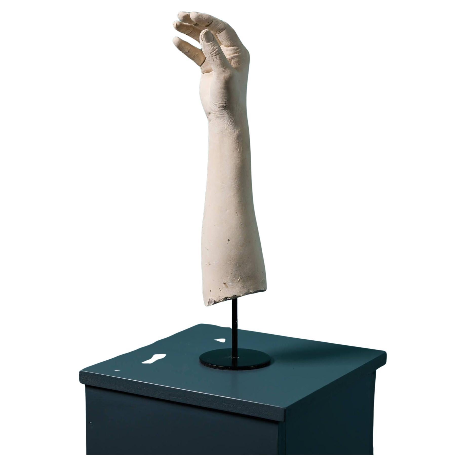 Antique Mounted Objects For Sale at 1stdibs | antique mounted objects ...