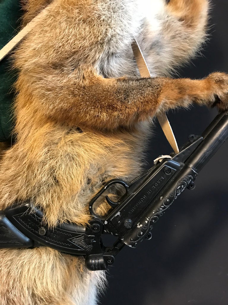 Mounted Taxidermy Hunting Fox with Rifle at 1stDibs
