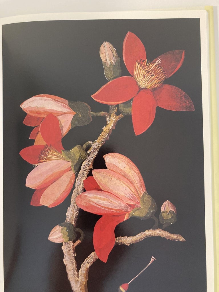 Mrs. Delany and Her Flower Collages Hardcover Book by Ruth Hayden 1992 ...