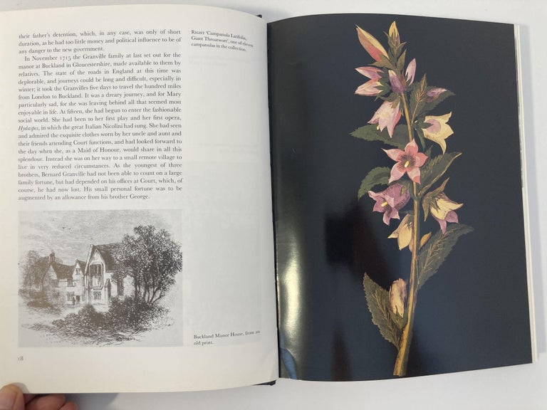 Mrs. Delany and Her Flower Collages Hardcover Book by Ruth Hayden 1992 ...