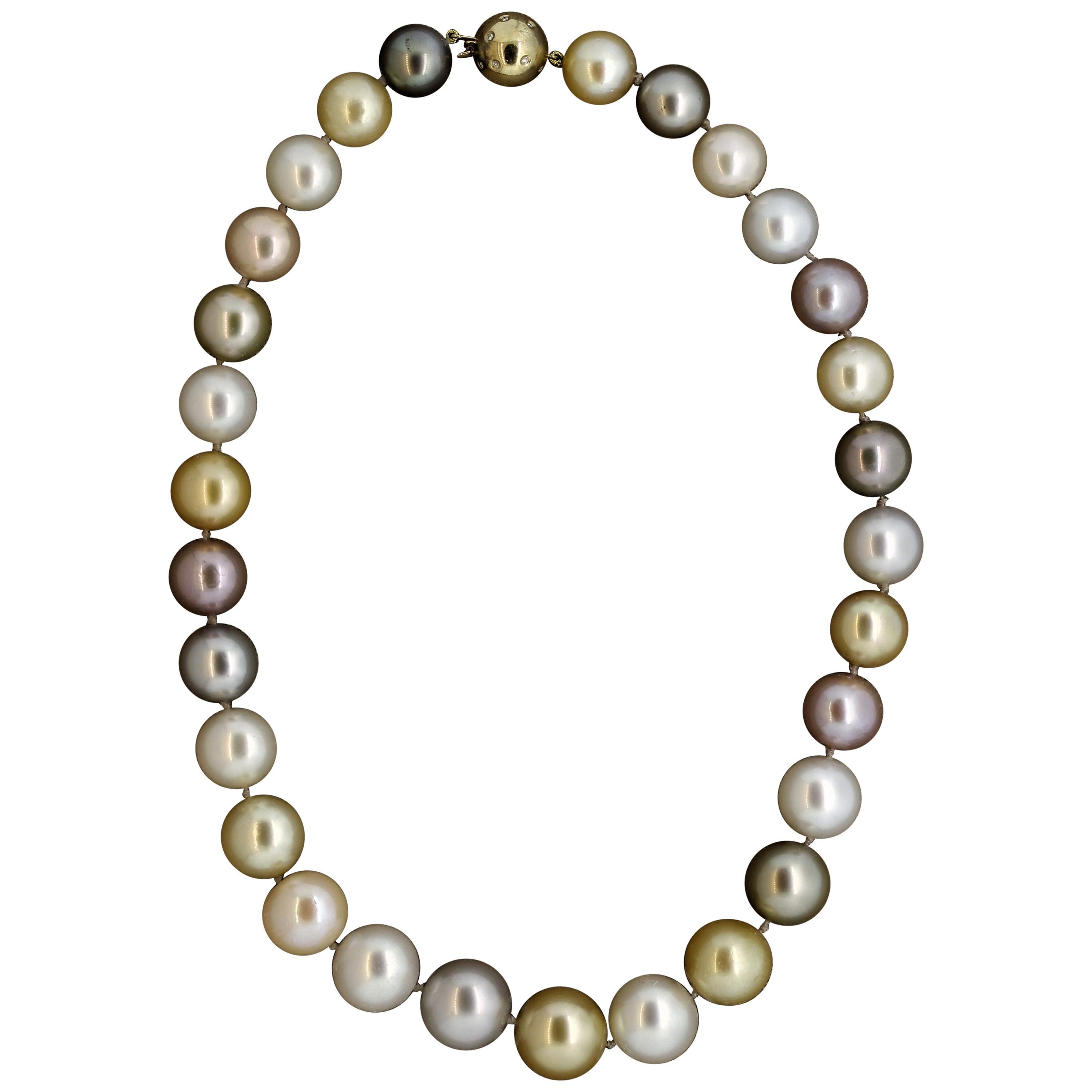 South Sea Pearl Necklace Multi-Color For Sale at 1stDibs