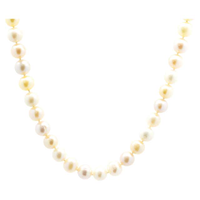 Freshwater Pearl Black Leather Braid Necklace With Sterling Silver
