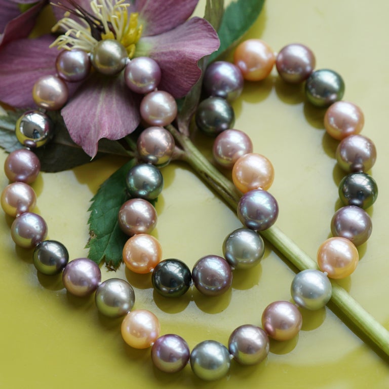 Multicolor Palette of Tahitian Cultured Pearls and Colored Ming Pearls ...