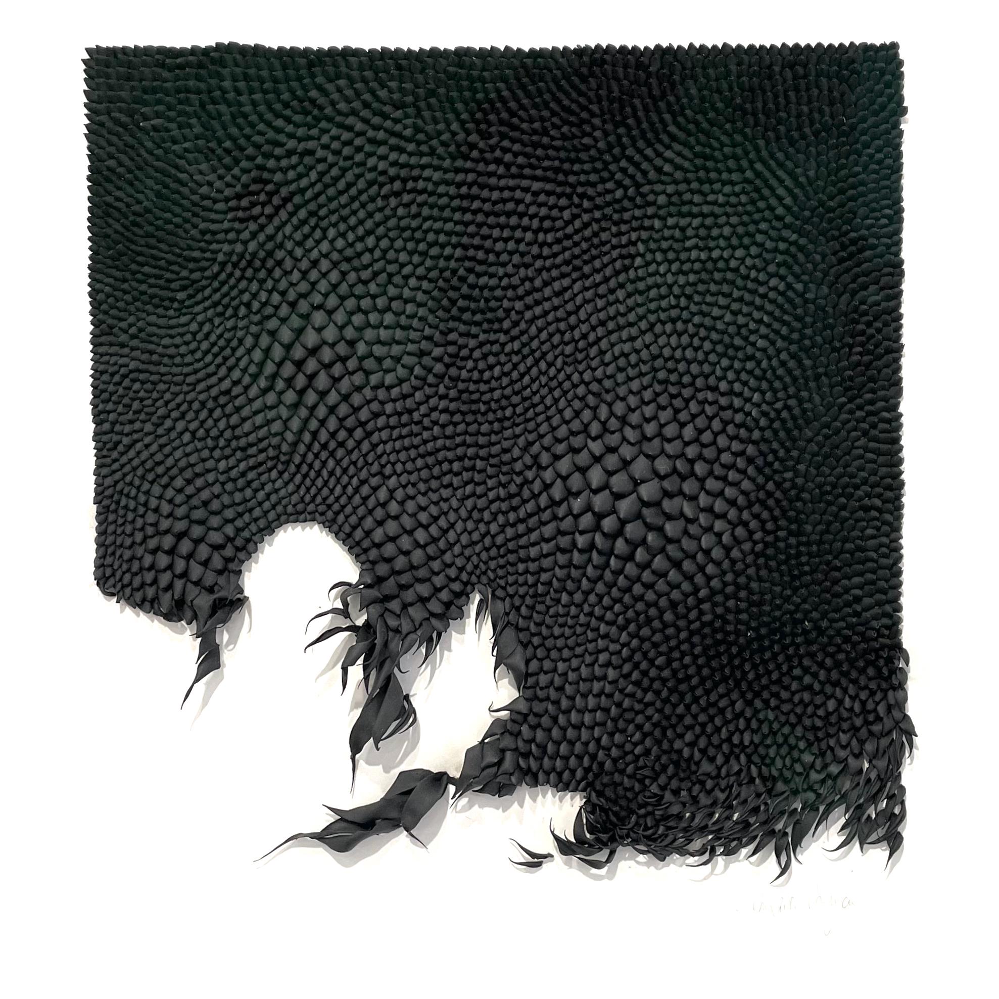 Mylinh Ngyen - Rosas negras II - collage minimalista abstracto de ...