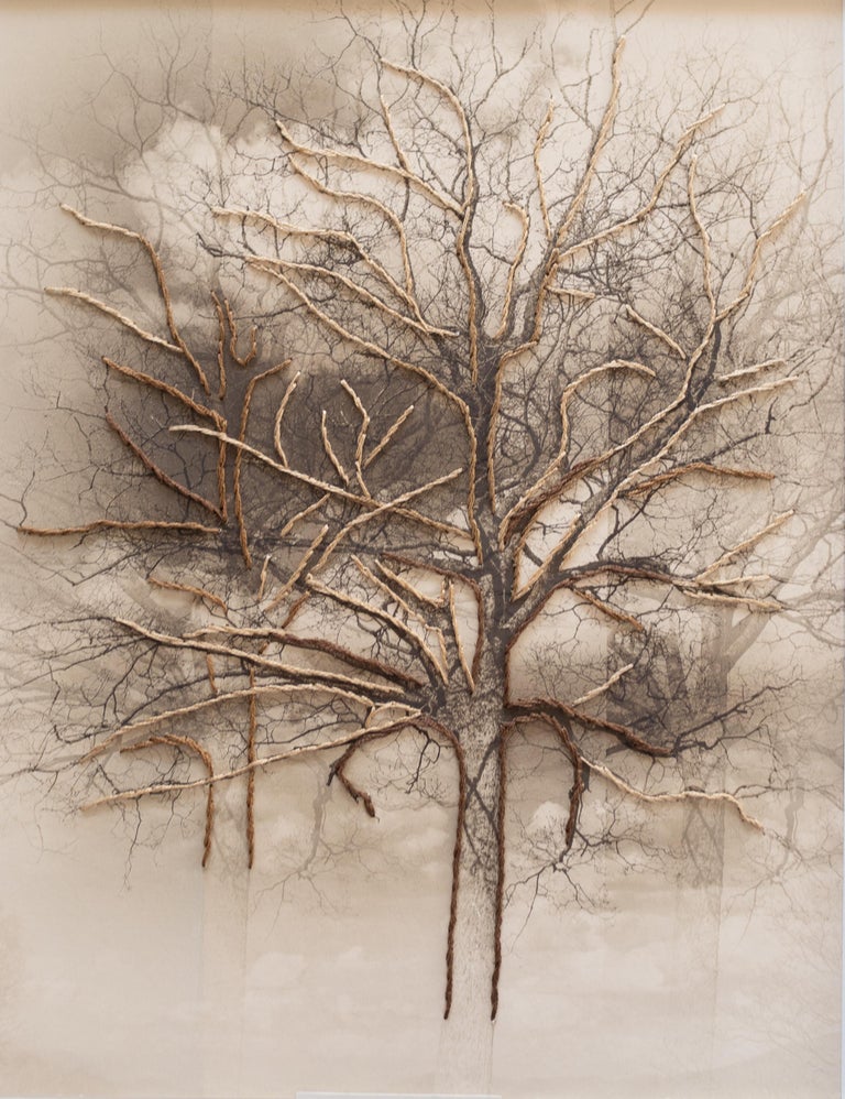 Myrtie Cope - 'Blue Ridge Seen Embroidered' - tree photography ...