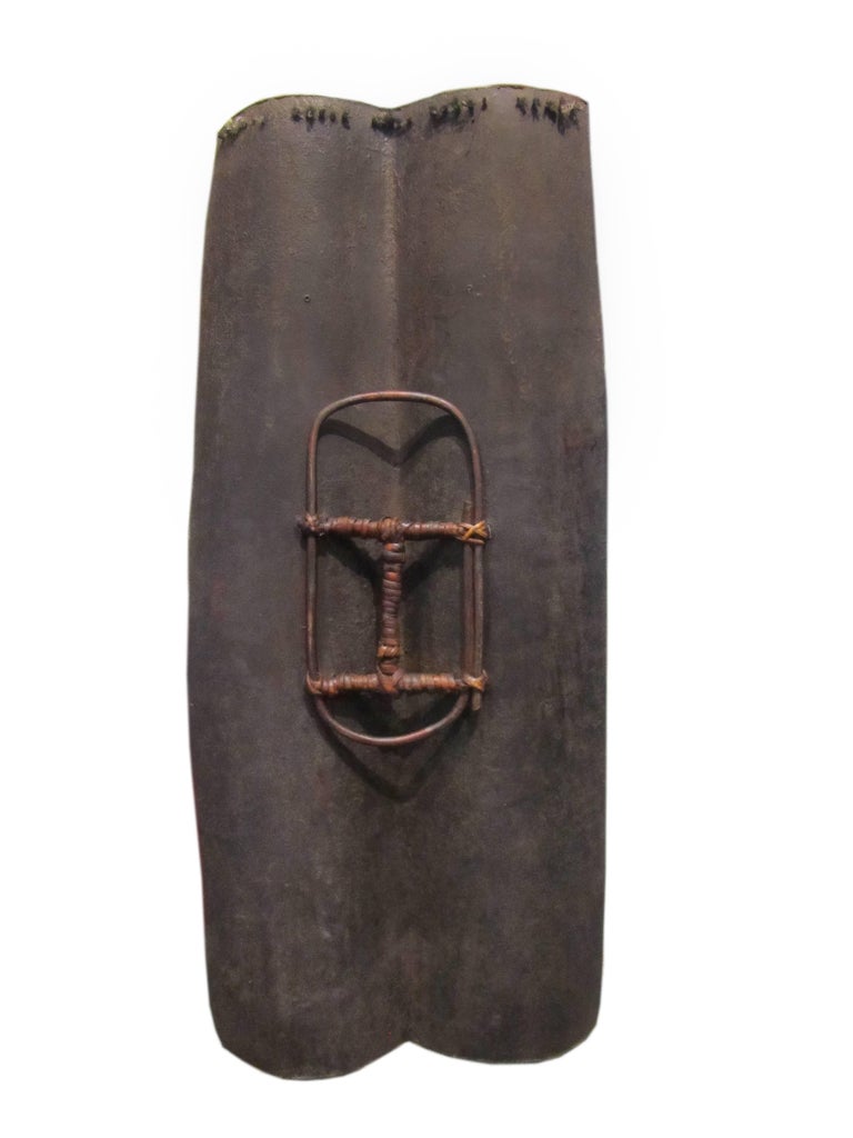 Naga Warrior Ceremonial Shield, 18th-19th Century at 1stDibs