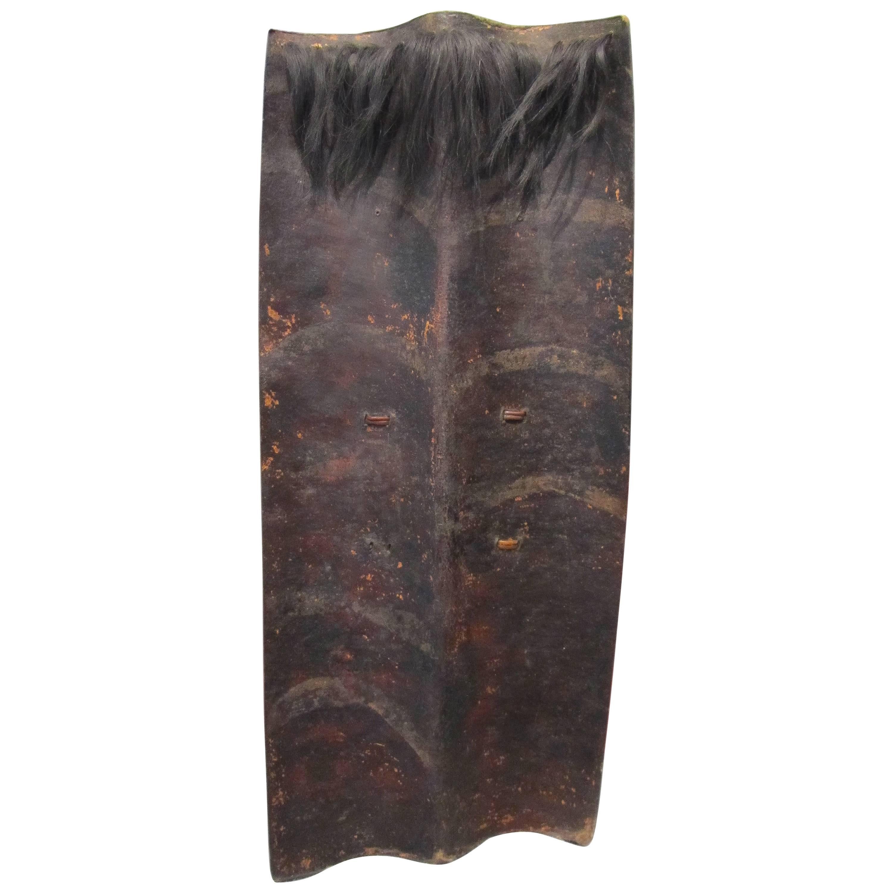 Naga Warrior Ceremonial Shield, 18th-19th Century at 1stDibs