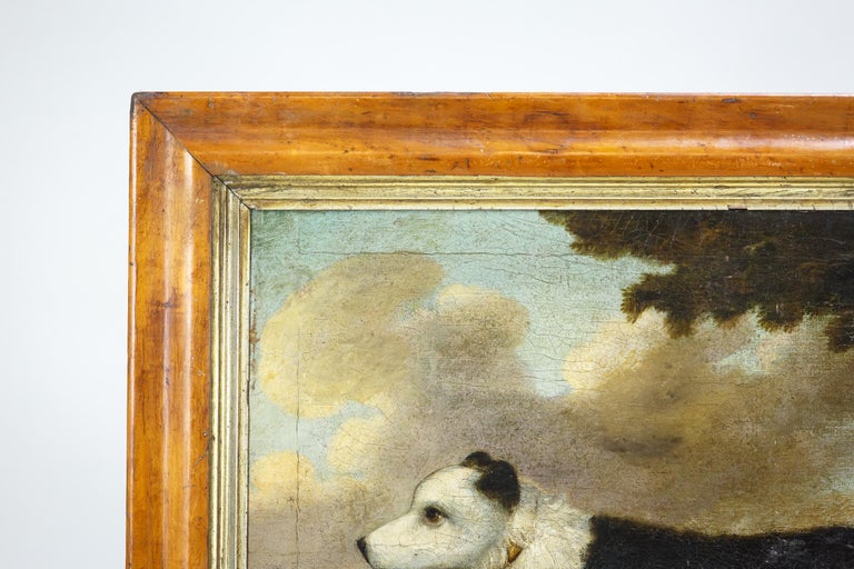 Naive 19th Century Oil on Canvas of a Boarder Collie Sheepdog For Sale ...