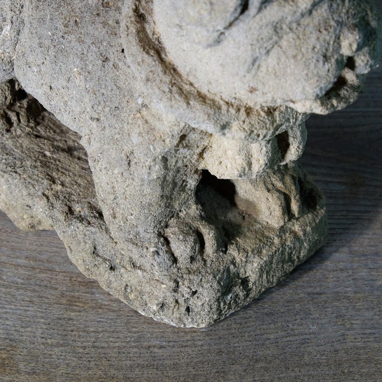 Naive Carved Limestone St Bernard Dog, 19th Century, Stone Carving For ...