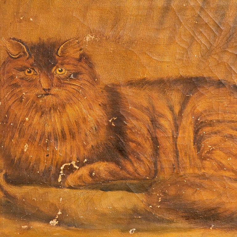 Naive Folk Art Study of a Cat, Oil on Canvas, 19th Century For Sale at ...