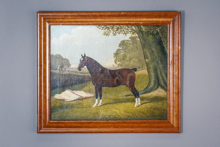 Naive Oil on Canvas Horse Portrait with Tattersalls or Newmarket Rug at ...