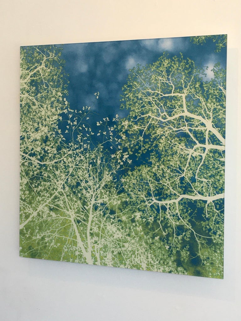Nancy C. Woodward - First of May, Limited Edition Photograph ...