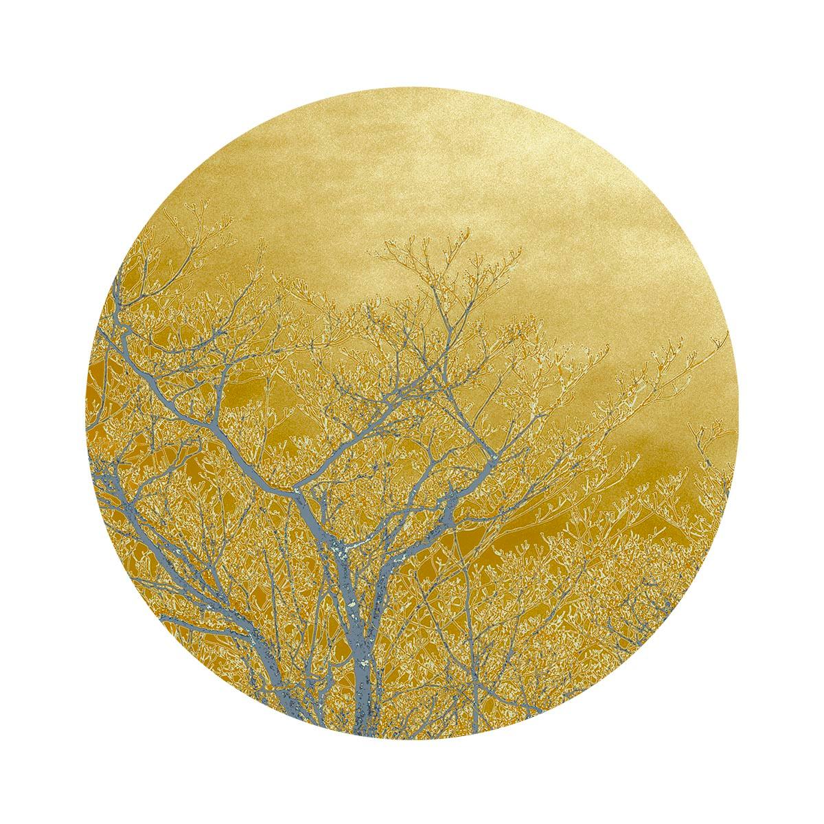 Nancy C. Woodward - Remembering Gold, Limited Edition Photograph ...