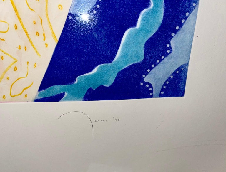 Nancy Graves - Large Nancy Graves Color Aquatint Drypoint Etching ...