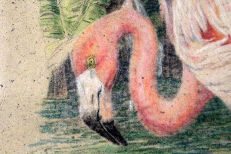 Nancy Strailey Flamingo Colored Pencil Drawing on Parchment Paper at ...