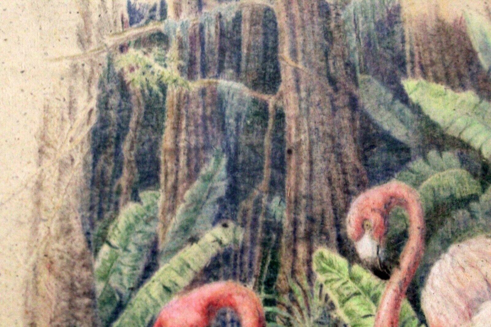 Nancy Strailey Flamingo Colored Pencil Drawing on Parchment Paper at ...