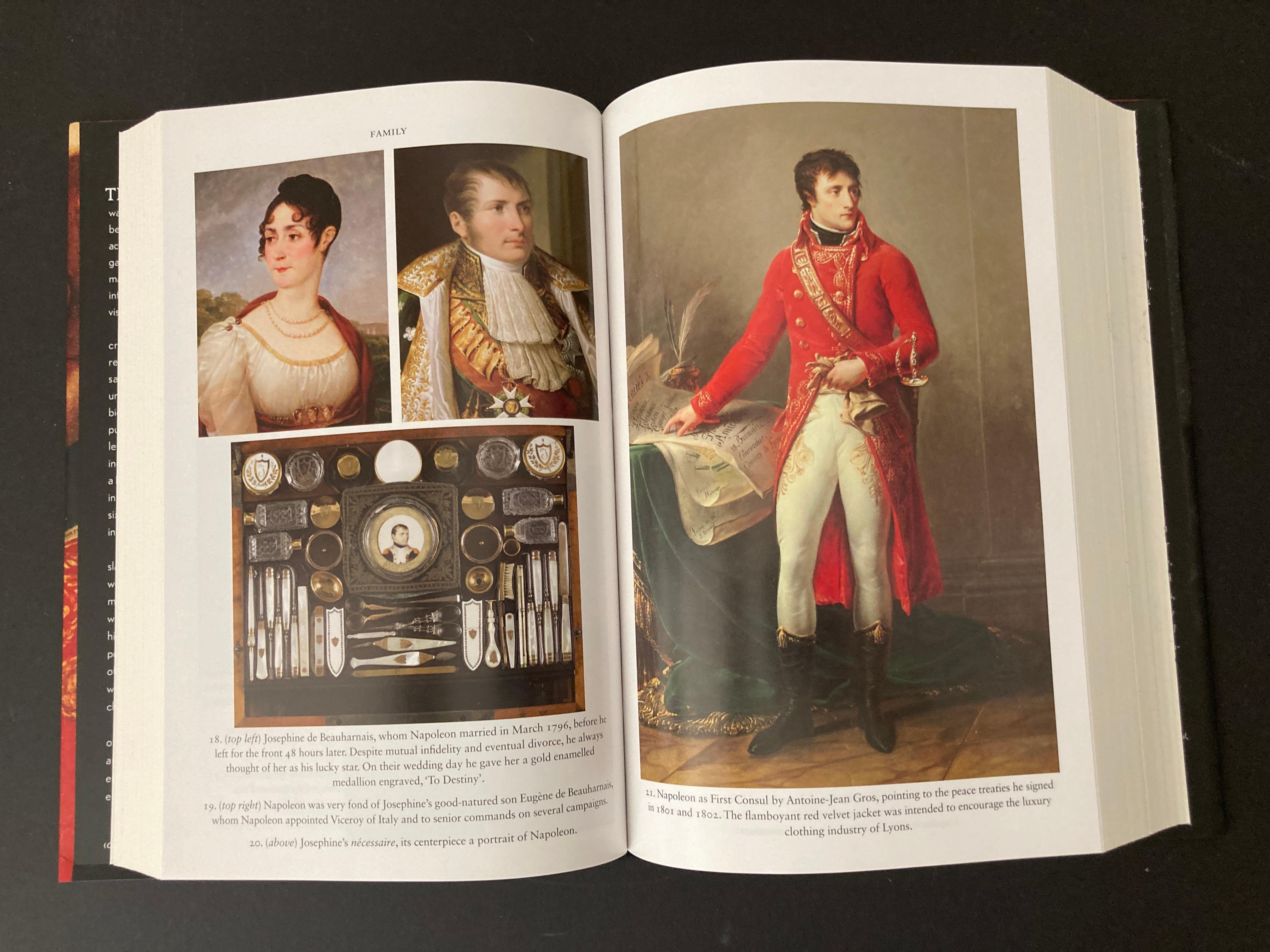 Napoleon A Life by Andrew Robe Hardcover Book at 1stDibs | napoleon ...