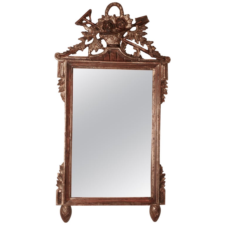 Napoleon III, Distressed, Faded Wall Mirror on a Gardening Theme at 1stDibs