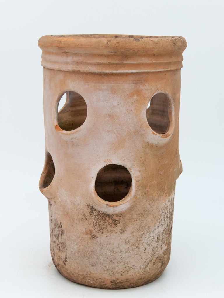 Narrow Strawberry Pot For Sale at 1stDibs | strawberry pots for sale ...