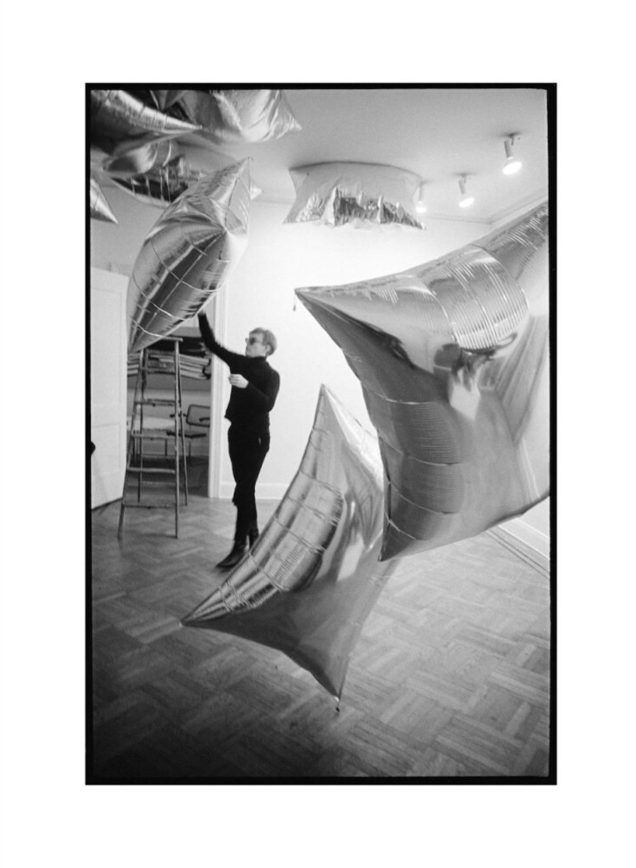 Nat Finkelstein - Nat Finkelstein, Silver Clouds Installation at Leo ...