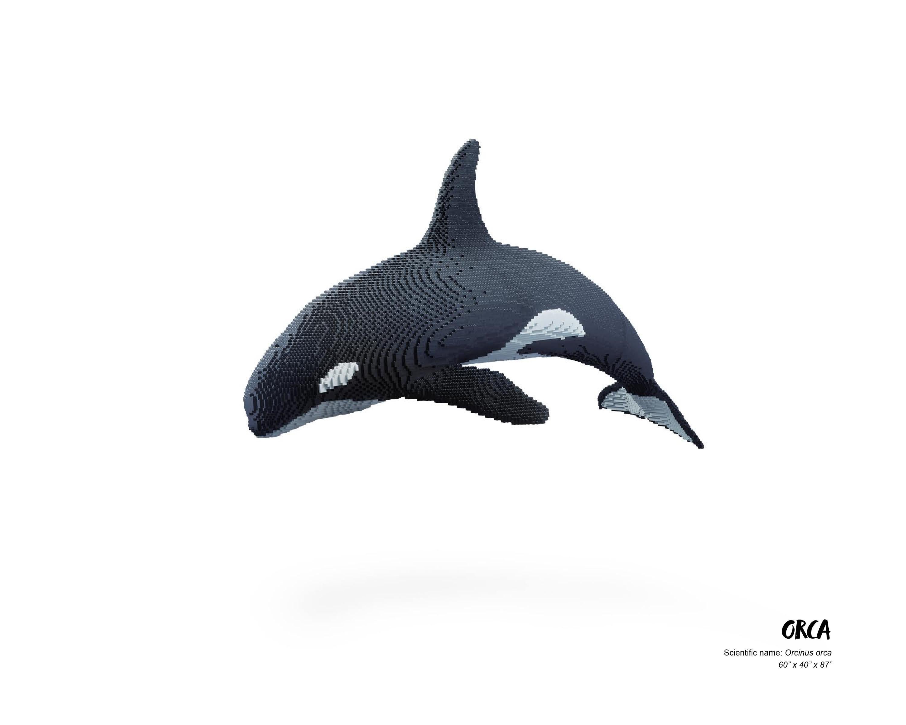 Nathan Sawaya - Nathan Sawaya - Orca, Sculpture, 2019 For Sale at ...