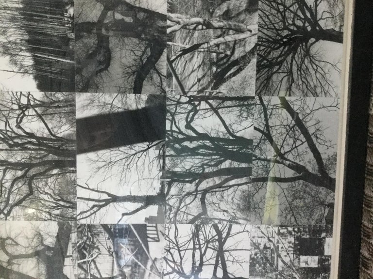 Nathan Slate Joseph - black and white trees photo collage For Sale at ...