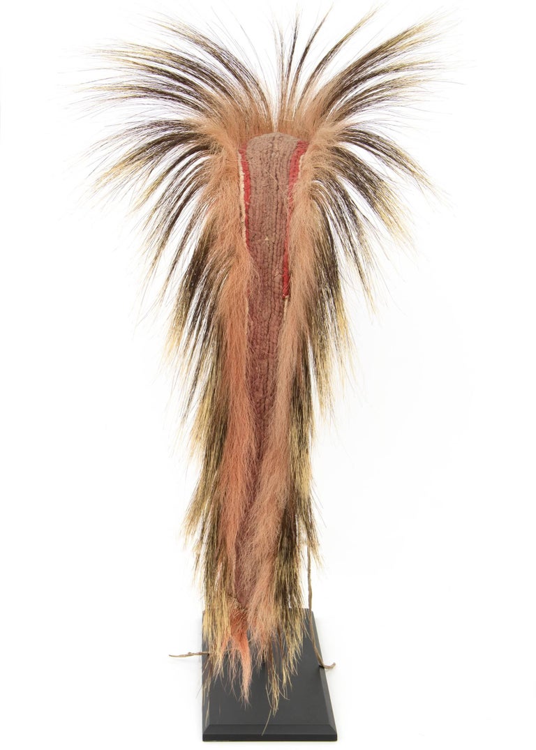 Native American Antique Roach Headdress, Plains, 19th Century at ...