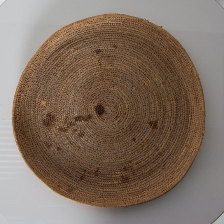 Native American Indian Handmade Woven Large Flat Coiled Saucer Basket ...