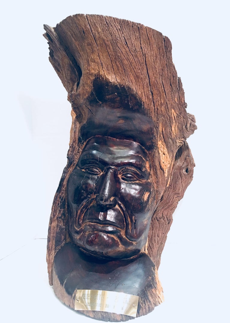 Native American Indian Iron Wood Carving Chief Bull Aparoke by Artist ...