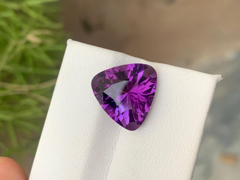 Natural 7.60 Carat Loose Dark Purple Amethyst Trilliant Shape from ...