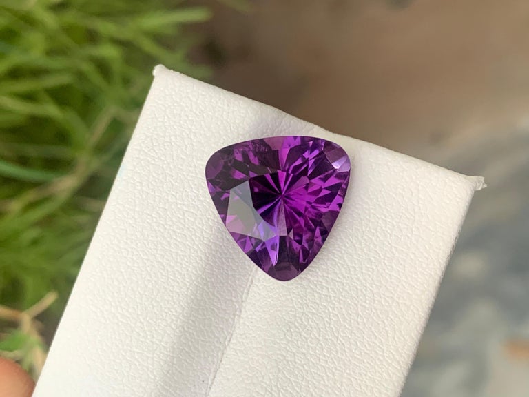 Natural 7.60 Carat Loose Dark Purple Amethyst Trilliant Shape from ...