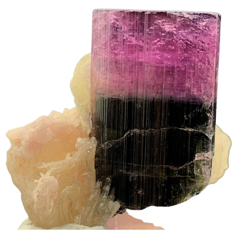 Natural 81.95 Gram Bicolor Tourmaline Crystal Elongated on Mica ...