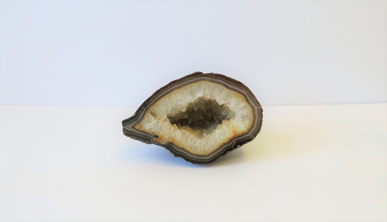 Agate Geode Brown and White Natural Specimen Decorative Object For Sale ...