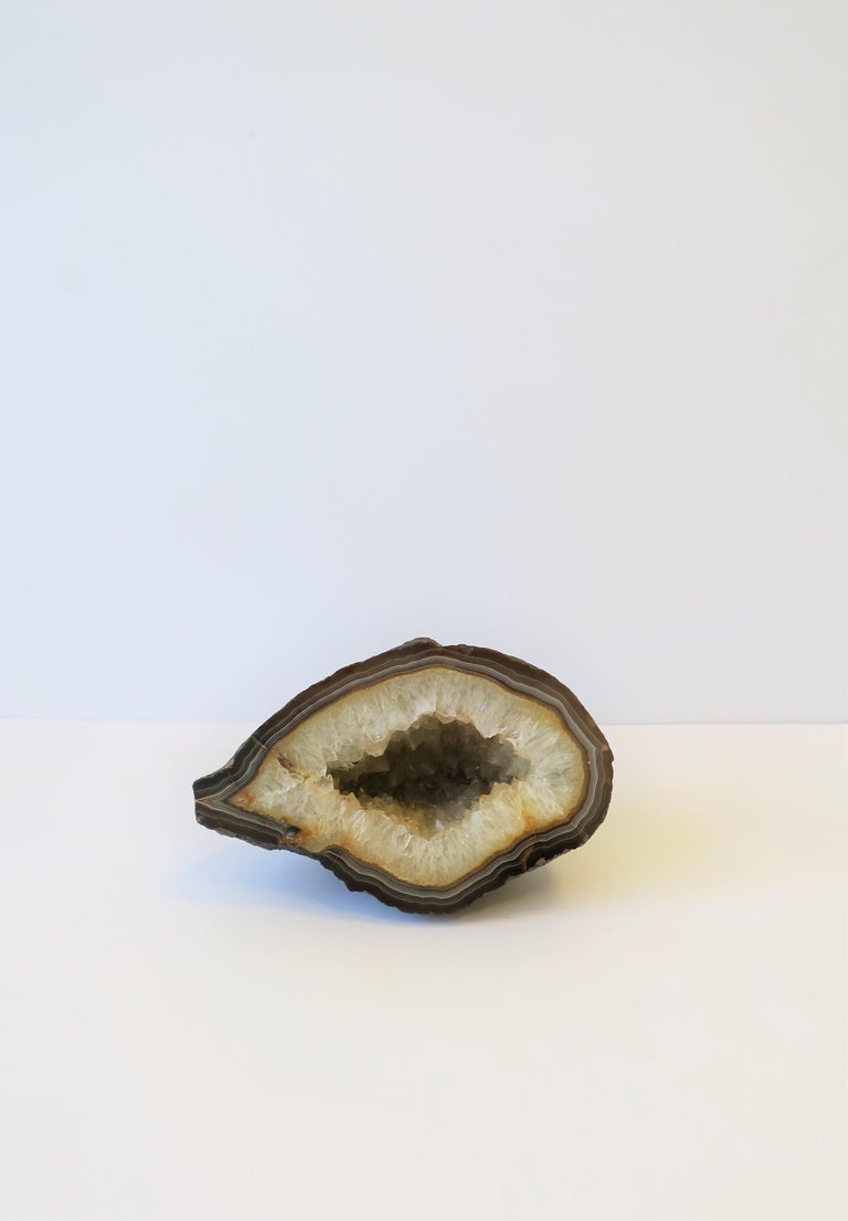 Agate Geode Brown and White Natural Specimen Decorative Object For Sale ...