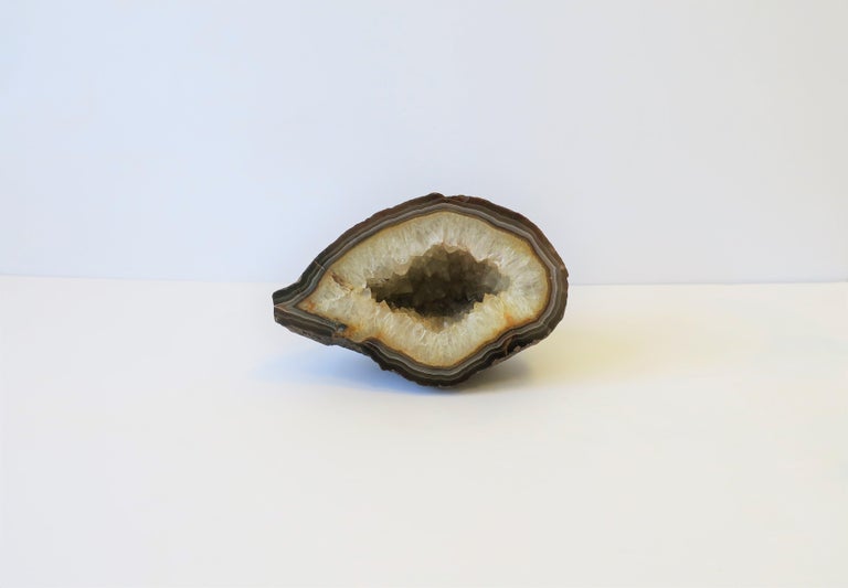 Agate Geode Brown and White Natural Specimen Decorative Object For Sale ...