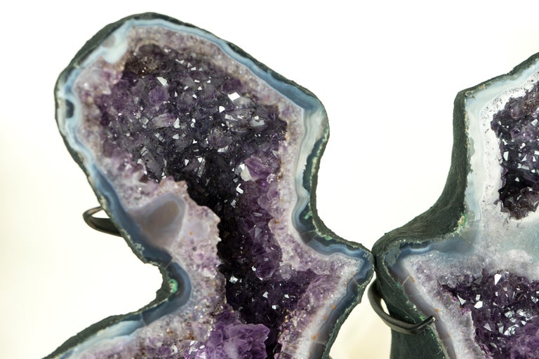 Natural Amethyst Butterfly Angel Wings Geode, a Natural Sculpture For ...